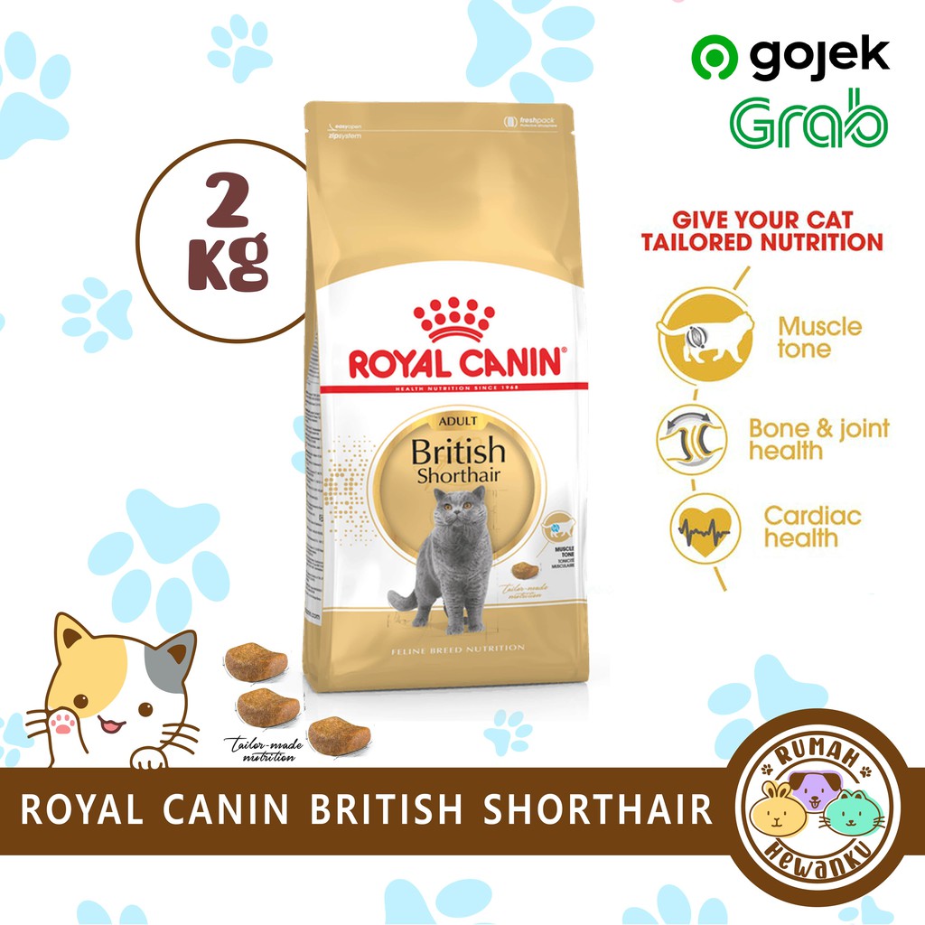 Jual Royal Canin Adult British Shorthair 2 kg | Shopee Indonesia