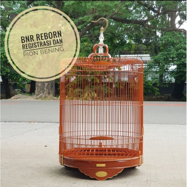 Jual Sangkar BnR Murai Reborn Kandang BnR Murai Reborn no 2 | Shopee ...
