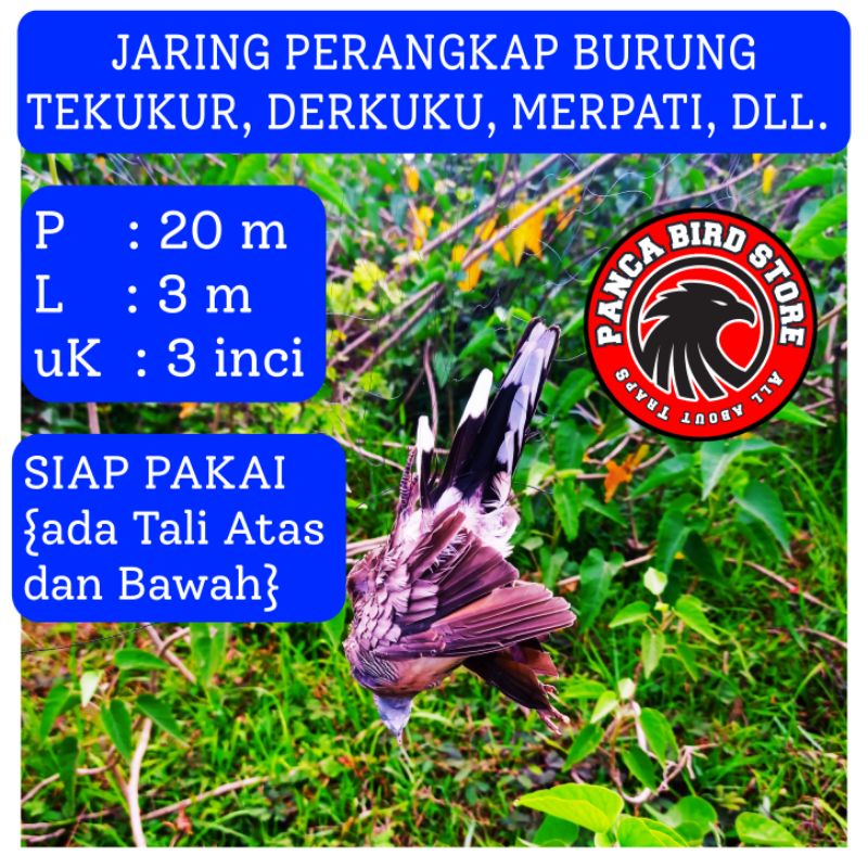 Jual Jaring Tekukur Perangkap burung derkuku Jalak kebo | Shopee Indonesia
