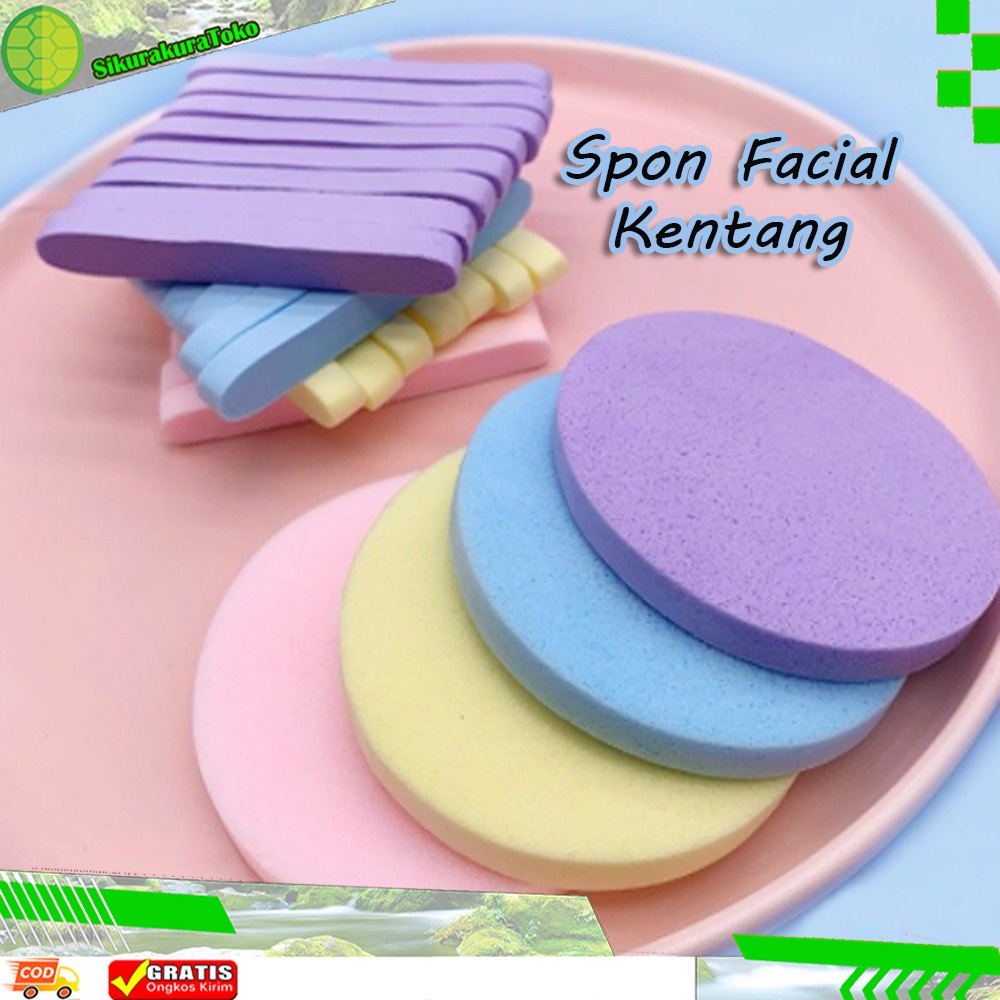 Jual (Skr) Spons Kentang Facial 1 Pack (12pcs) Sponge Facial stick ...