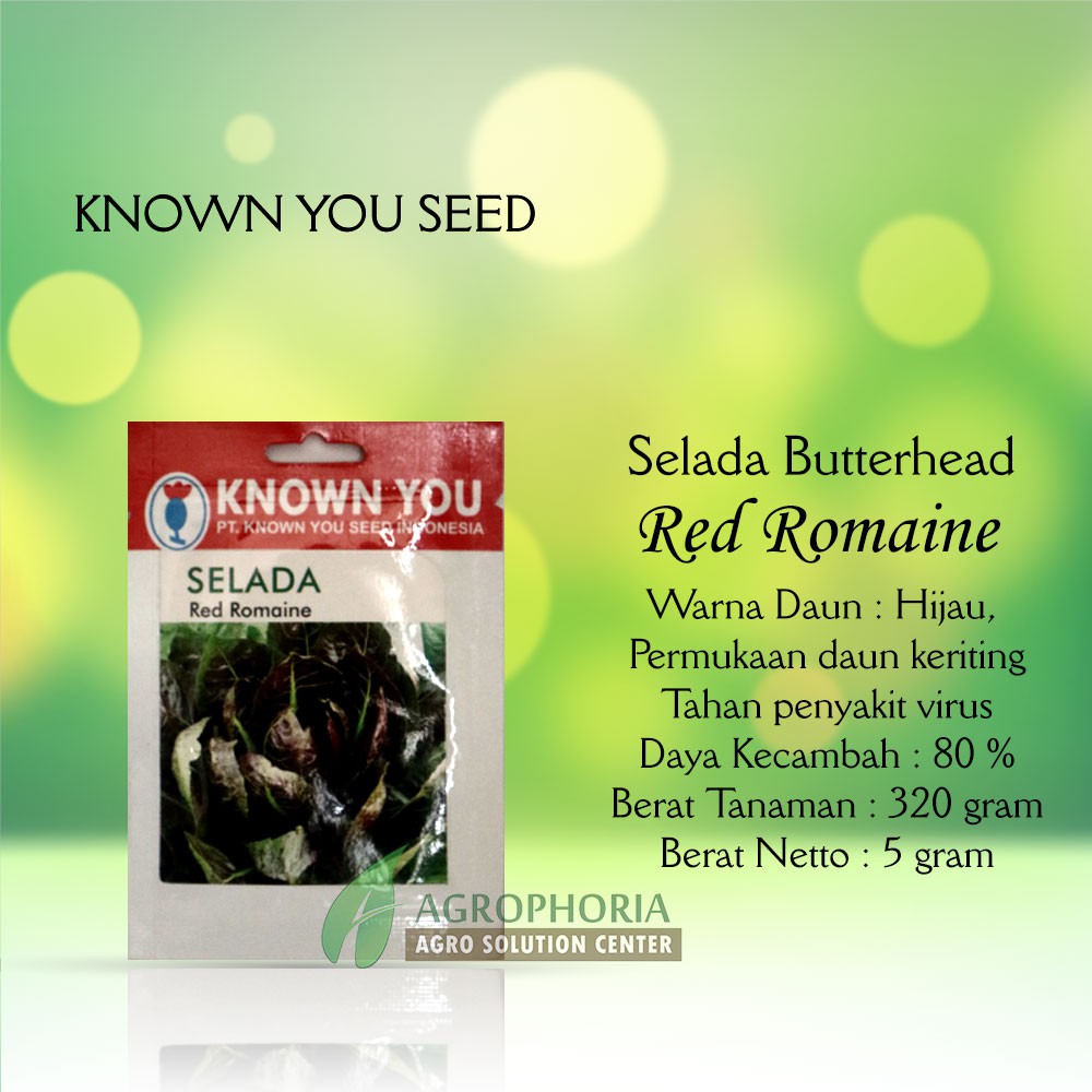Jual Benih Selada Red Romain 5 Gram - Known You Seed | Shopee Indonesia