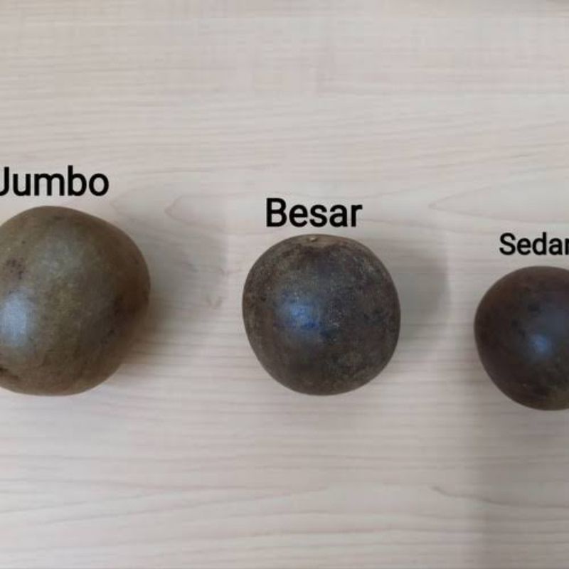 Jual 4 BUTIR BUAH BIJI LOHANKO LO HAN KUO UTUH UKURAN SEDANG /BESAR ...