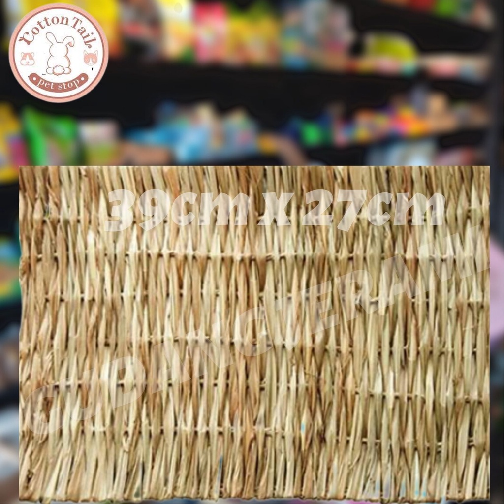 Jual Hay Mat Large / alas kandang bahan rumput timothy (39cm x 27cm ...