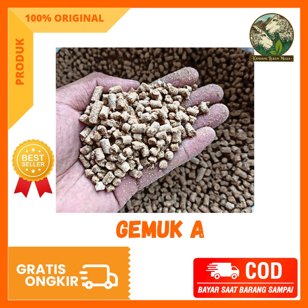Jual Konsentrat Penggemuk Sapi Kambing Gemuk A Original Pabrik | Shopee ...