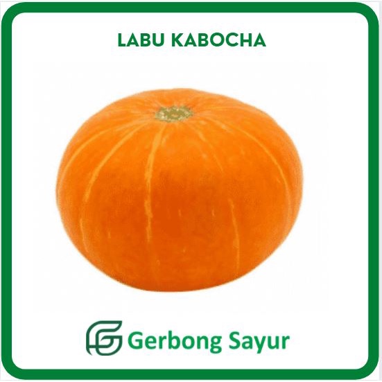 Jual Labu kuning / kabocha / labu jepang / kaboca - 1 Kg | Shopee Indonesia