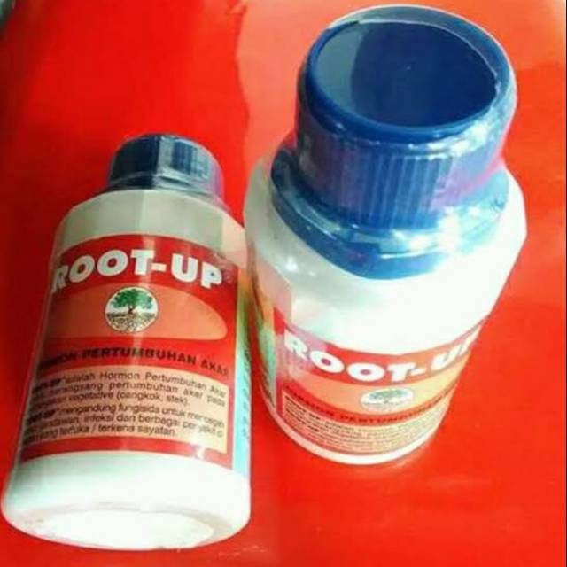 Jual Obat perangsang akar tanaman - obat ROO UP | Shopee Indonesia