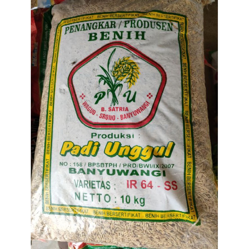 Jual BENIH PADI IR 64 BANYUWANGI KEMASAN 10 KG | Shopee Indonesia