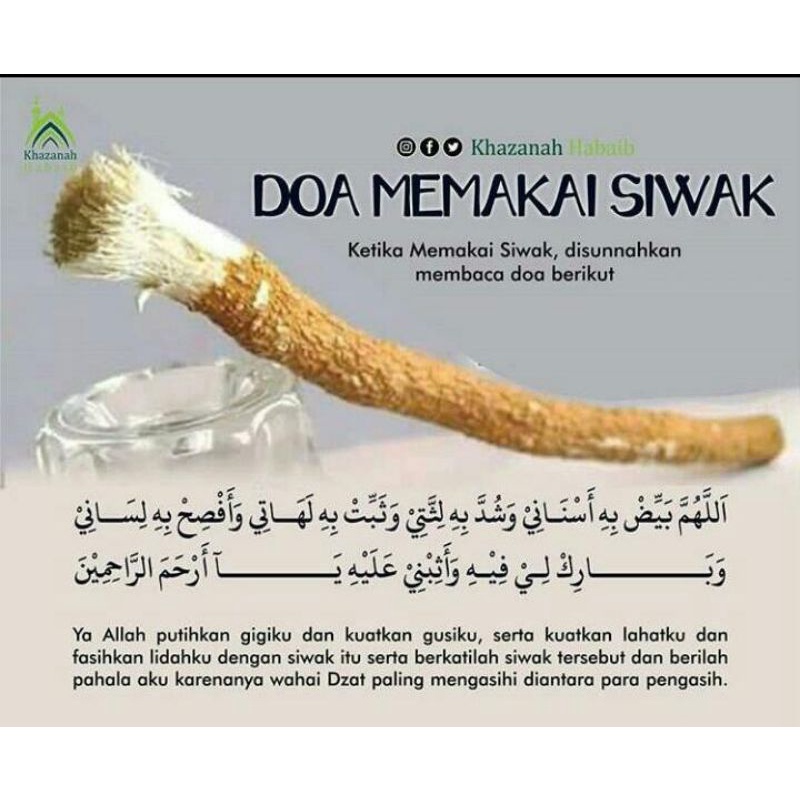 Jual Siwak + holder | Shopee Indonesia
