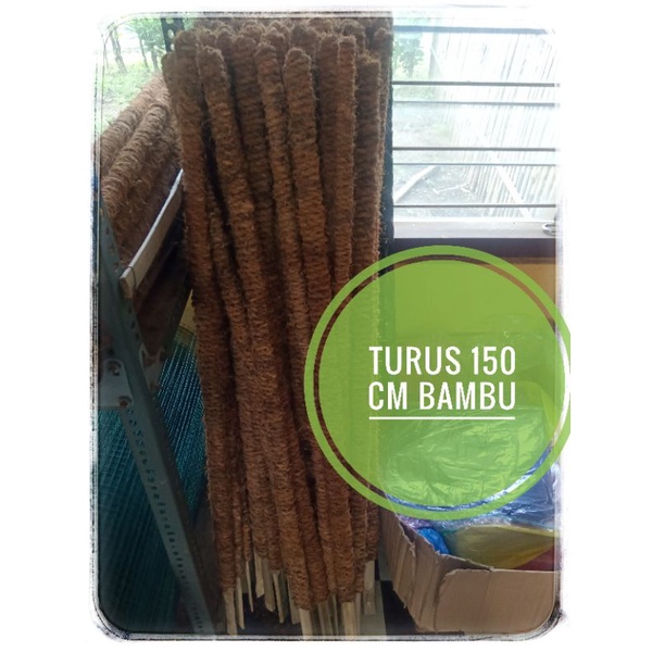 Jual Turus Tanaman Bambu 150 cm - Turus Penyangga Tanaman - Turus ...