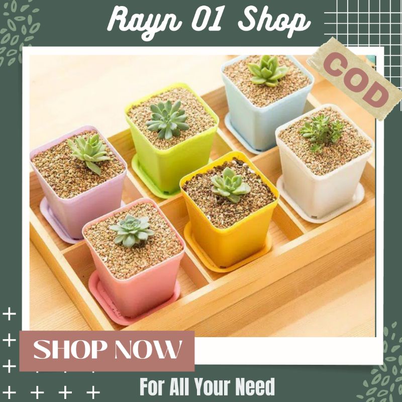 Jual Pot Persegi Mini + Tatakan Tanaman Hiasan Rumah / Pot Suculen ...