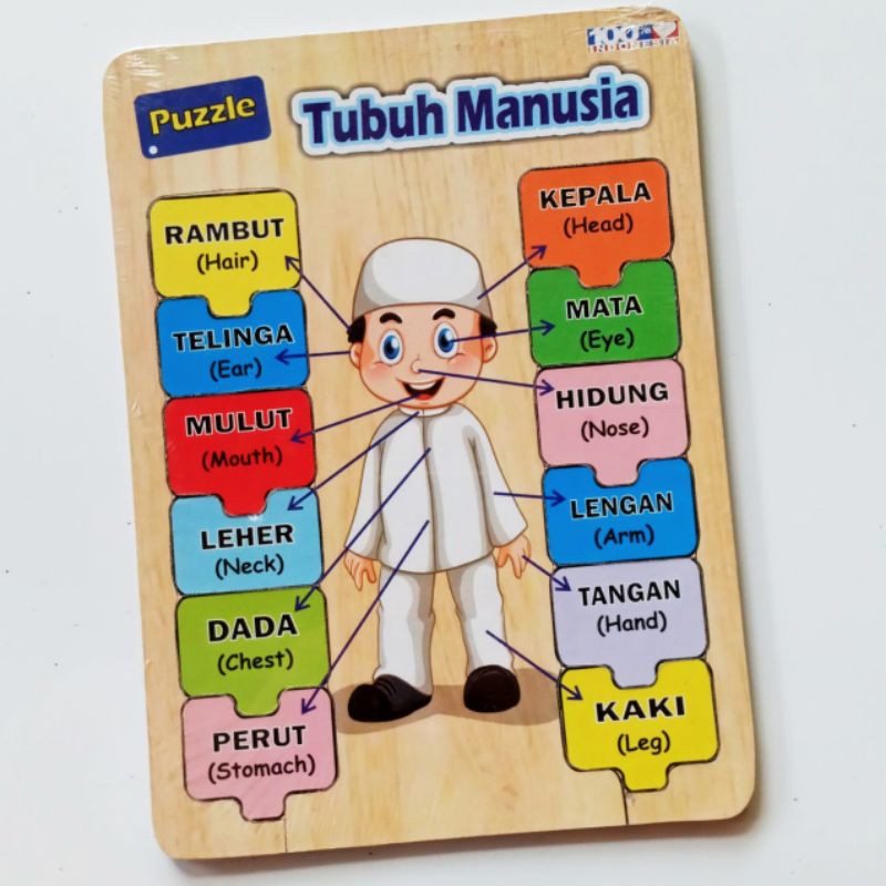 Jual Puzzle Pazel Kayu MDF Mengenal Anggota Tubuh Badan Jigsaw Bongkar ...