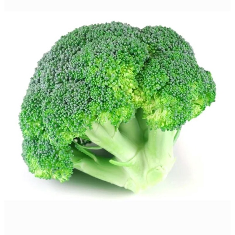 Jual Brokoli Segar / Berat 250 Gram | Shopee Indonesia