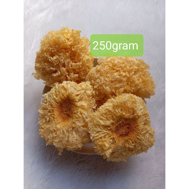 Jual Jamur Salju Premium Kuning 250gram/ Dried Snow White Fungus ...