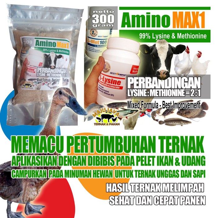 Jual Amino Max1 Hormon Pemacu Pertumbuhan Ternak (ikan.unggas.sapi ...