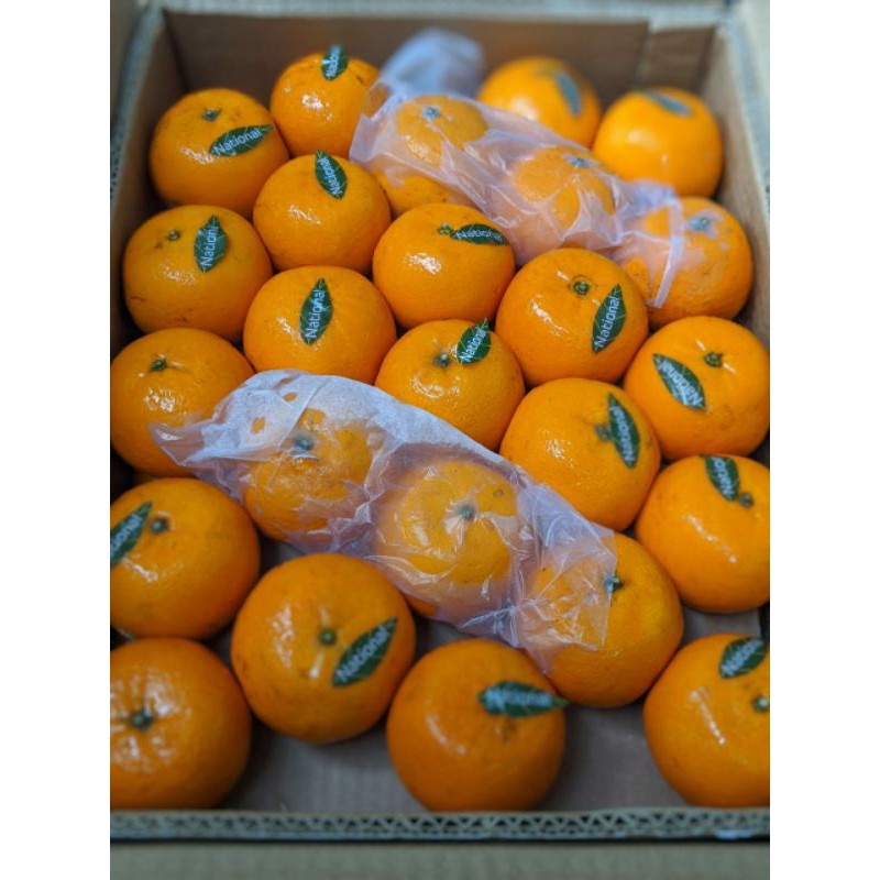 Jual JERUK KINO MANIS PER 1 KG | Shopee Indonesia
