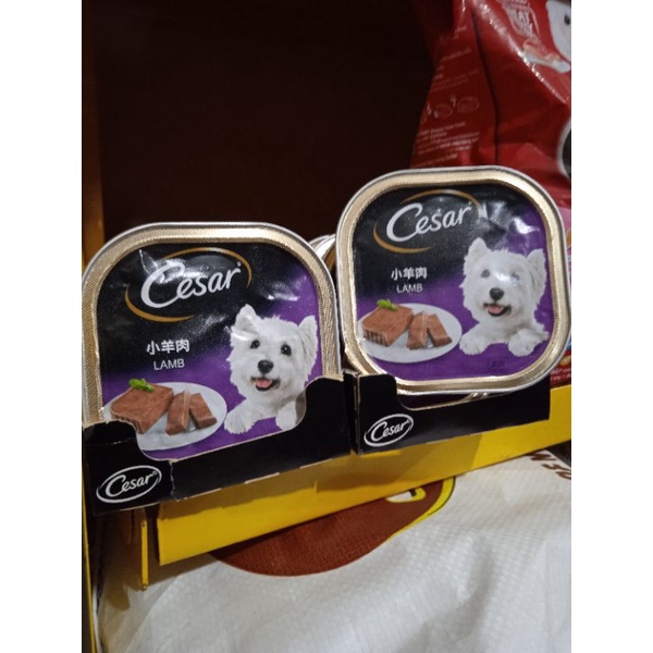 Jual dogfood cesar lamb 100g makanan basah cesar lamb | Shopee Indonesia