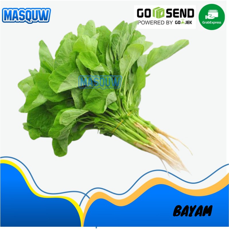 Jual SAYUR BAYAM BAYEM HIJAU PER IKAT 1 IKET/ SAYUR SAYURAN SEGAR FRESH ...