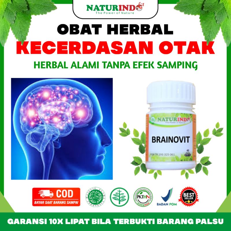 Jual obat Suplemen NUTRISI OTAK Tingkatkan Daya Ingat Kecerdasan UNTUK ...