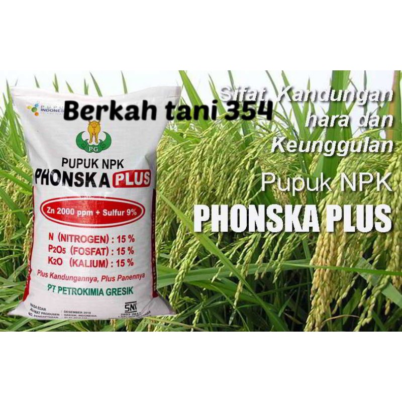 Jual ASLI!! PUPUK PHONSKA PLUS 25KG pupuk phonska plus 25kg Pupuk Npk ...