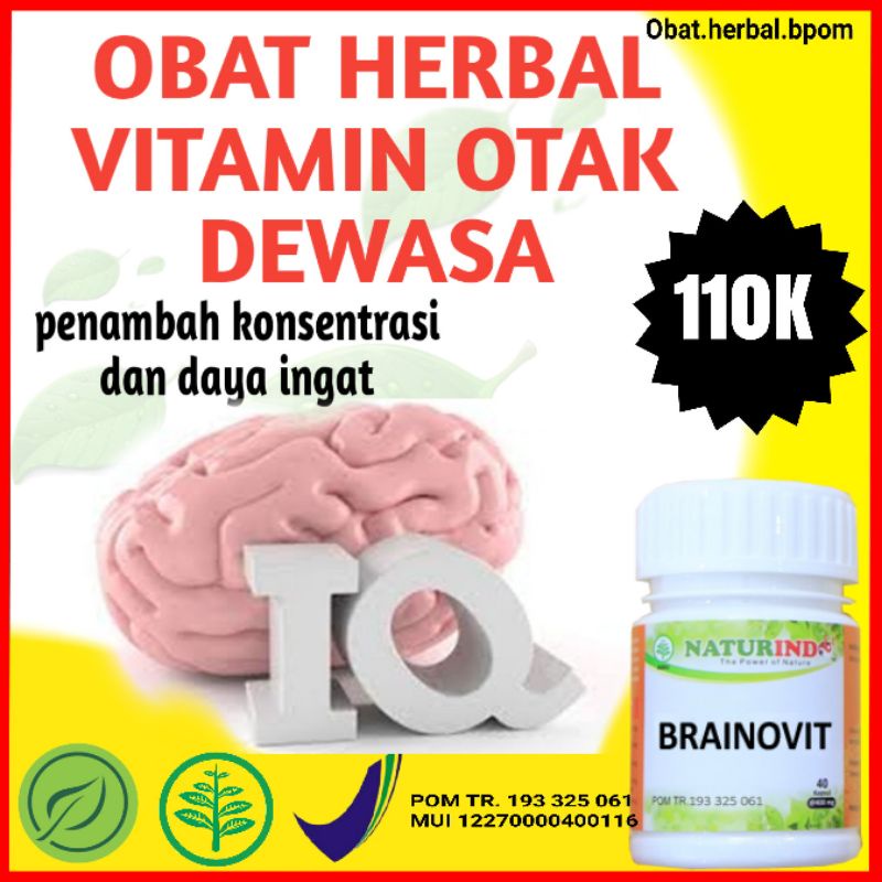 Jual Vitamin Otak Dewasa Suplemen Penambah Konsentrasi & Daya Ingat ...