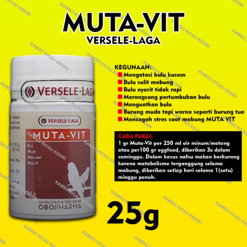 Jual MUTAVIT+ MUTA-VIT - VITAMIN MABUNG - MUTAVIT VERSELE-LAGA ...
