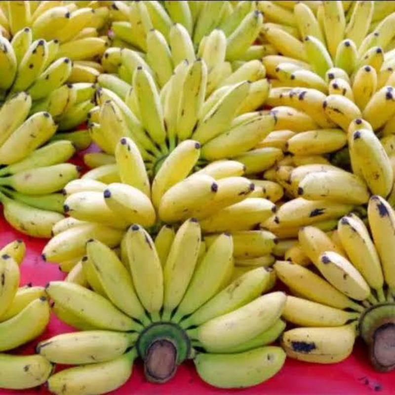 Jual Pisang Muli / Pisang Lampung / Sisir | Shopee Indonesia