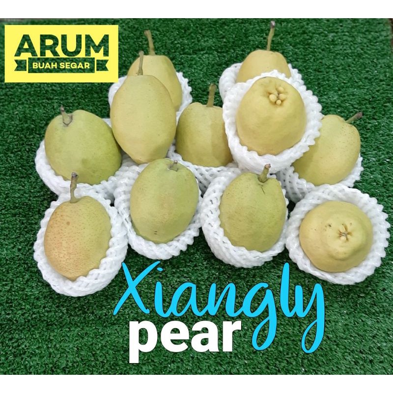 Jual Pir Xiangly Manis Fresh | Shopee Indonesia