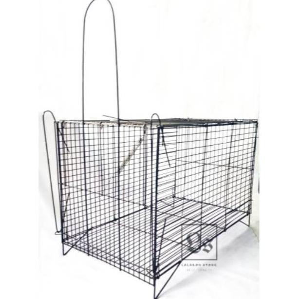 Jual Kr [Promo]Kandang Jebakan/Perangkap Tikus/Kucing/Musang/Kelinci ...