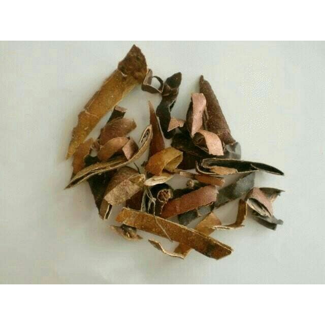 Jual 10 G 50 GR 100 GRAM GUA LOU PI TRICHOSANTHES SNAKEGOURD SNAKE ...