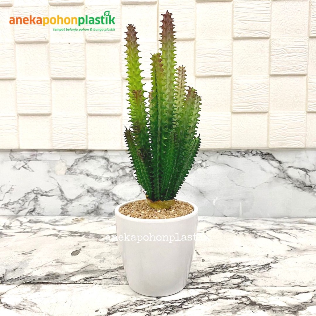 Jual Tanaman Hias Artificial Kaktus Menara Group Latex Pot Gelas Melamine Mini Pohon Plastik