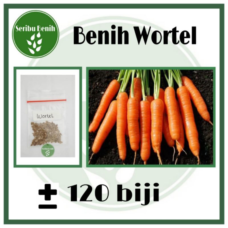 Jual 120 Benih Wortel Unggul Kuroda EW Select - Bibit Tanaman Sayuran ...