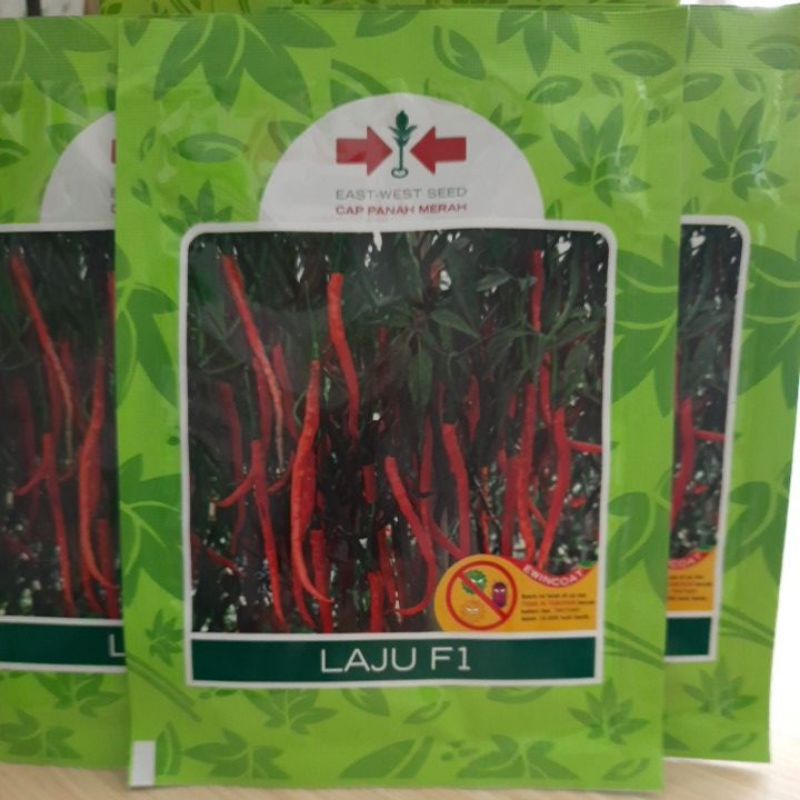 Jual Benih Cabe Merah Keriting Hibrida LAJU F1 1750 Butir - Cap Panah ...