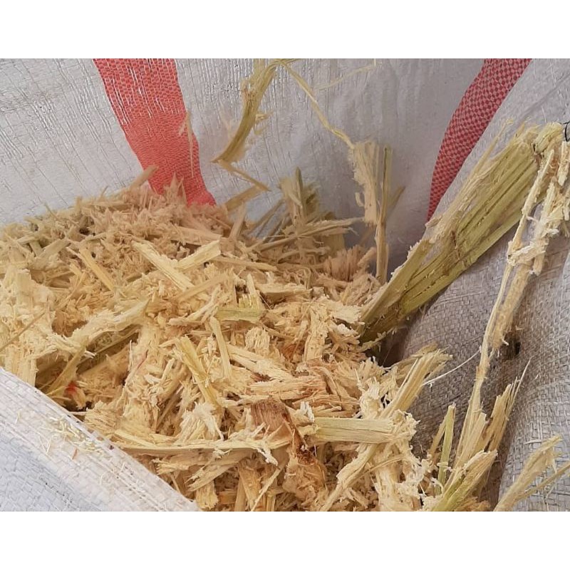 Jual Bahan Kerajinan Serat Tebu Ampas Tebu Sepah Tebu handycraft ...