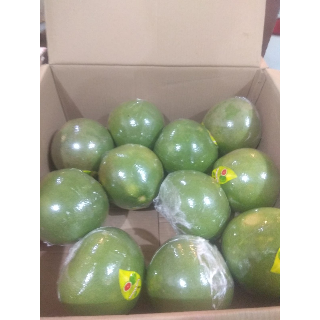 Jual Jeruk Pomelo | Shopee Indonesia