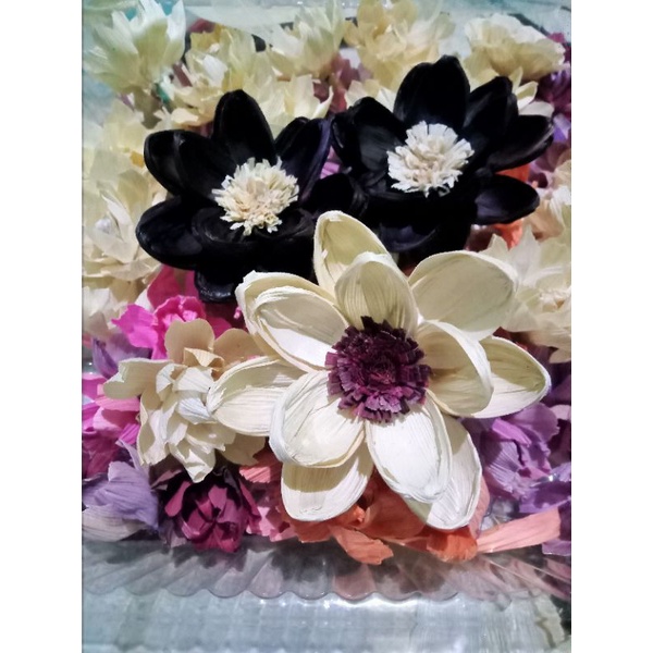 Jual bunga klobot,bunga kering,bahan rustic,rumput kering | Shopee ...