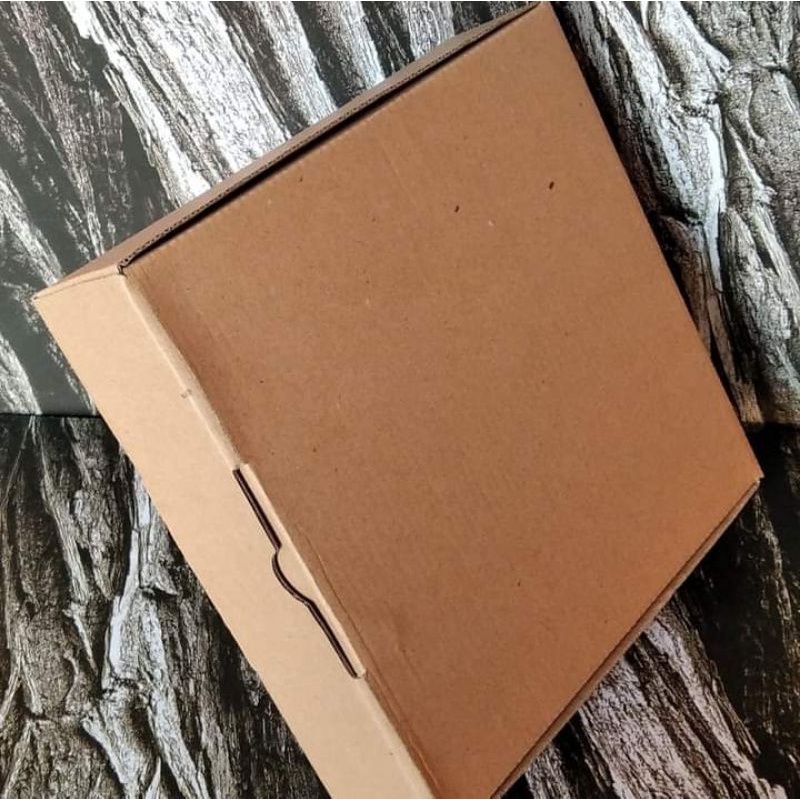 Jual box pizza 25-25-5cm/ multifungsi | Shopee Indonesia