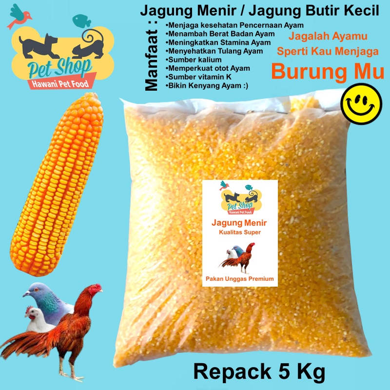 Jual HawaniPs Jagung Menir Butir kecil Pakan Ayam Kemasan 5 Kilogram ...