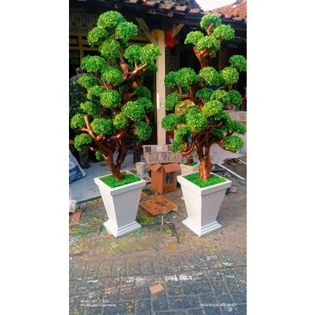 Jual POHON BONSAI ARTIFICIAL DEKORASI SUDUT RUANGAN SUPER JUMBO / POHON ...