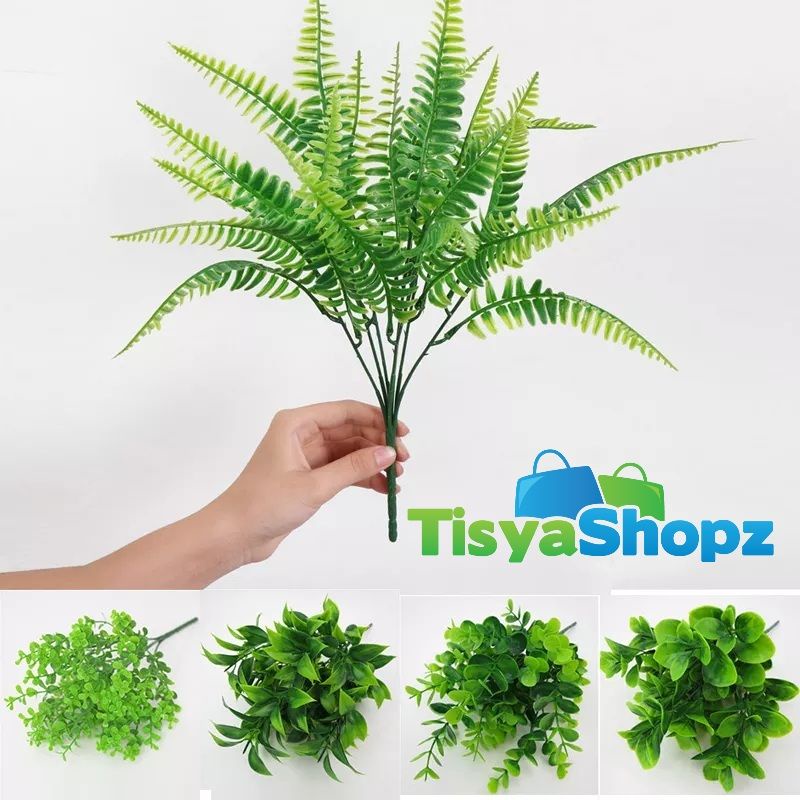 Jual Daun Pir Berduri x7 / daun pakis Boston tangkai | Shopee Indonesia