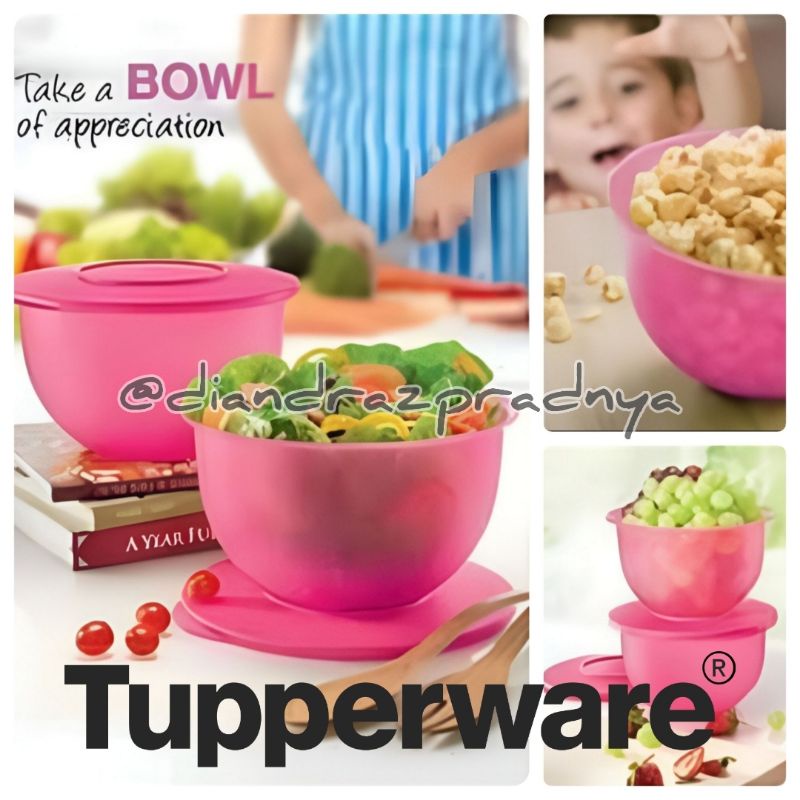 Jual Expression Bowl Tupperware Malaysia | Shopee Indonesia