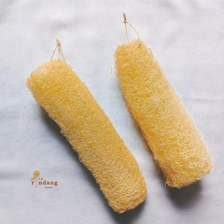 Jual Loofah / Oyong / Gambas (Spons Alami) | Shopee Indonesia