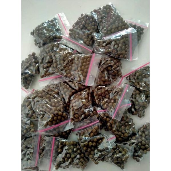 Jual jamu pil pinang anum | Shopee Indonesia