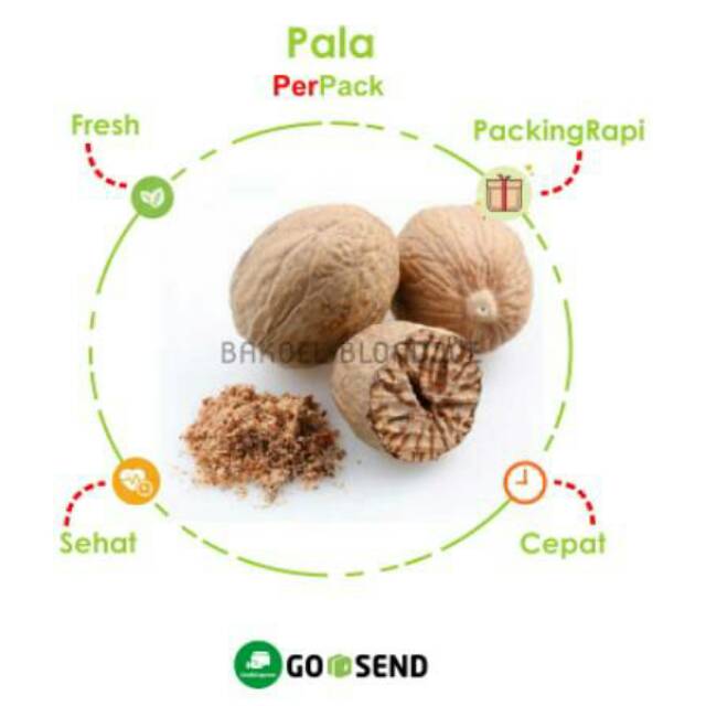 Jual BIJI PALA PACK / POLO BUMBU DAPUR / PENYEDAP MASAKAN / NUTMEG ...