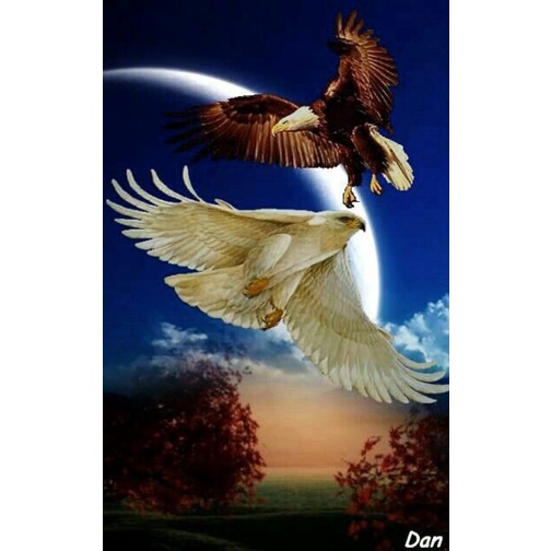 Jual lukisan cetak dua elang plus bingkai uk 65 x45 | Shopee Indonesia
