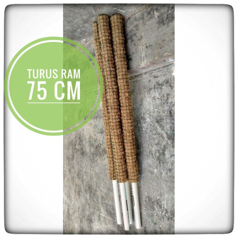 Jual Taurus Tanaman Kawat Ram 75 cm - Turus Tanaman Rambat - Tanaman ...