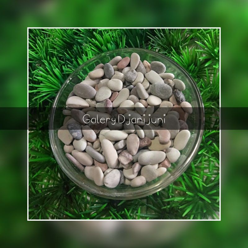 Jual Batu coral Batu isian vas dan pot Bunga akrilik | Shopee Indonesia