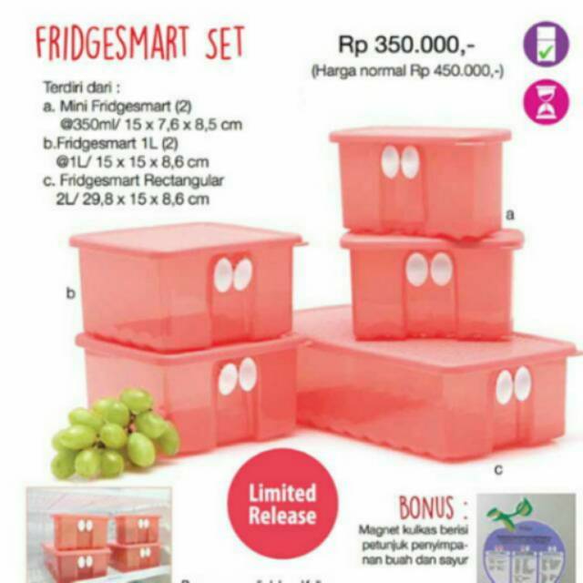 Jual Fridgesmart Set Isi 2 pcs | Shopee Indonesia