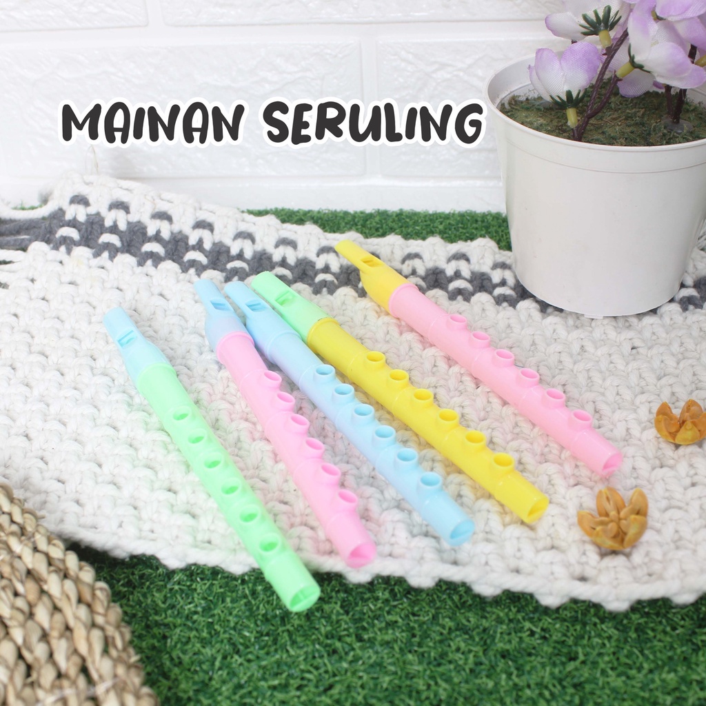Jual Alat Musik Mainan Anak Seruling Plastik Full Colour Murah | Shopee ...