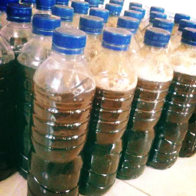 Jual Madu pahit khas pulau Bangka | Shopee Indonesia