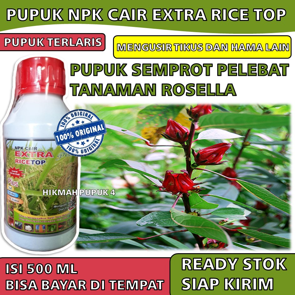 Jual PUPUK NPK CAIR EXTRA RICETOP 500 ML Pupuk Semprot Pelebat Tanaman Rosella- Pupuk Perangsang ...